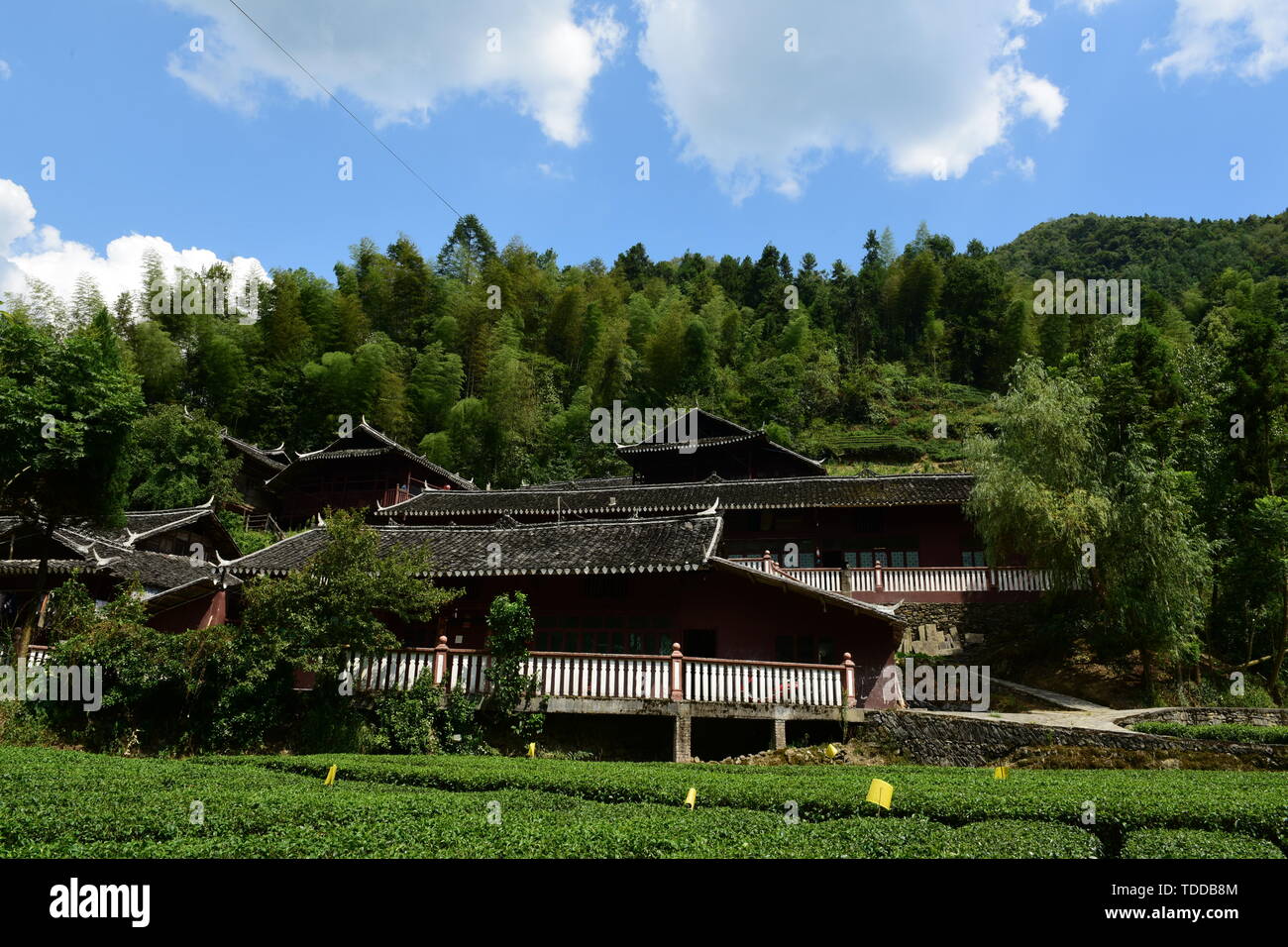 Tujia hanging tower group hi-res stock photography and images - Alamy