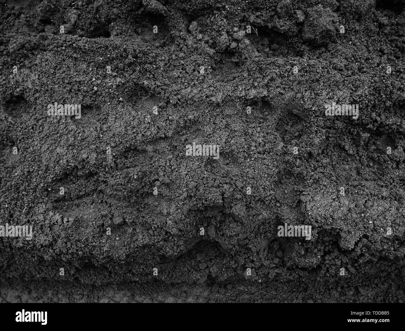 Cement sand background Stock Photo - Alamy