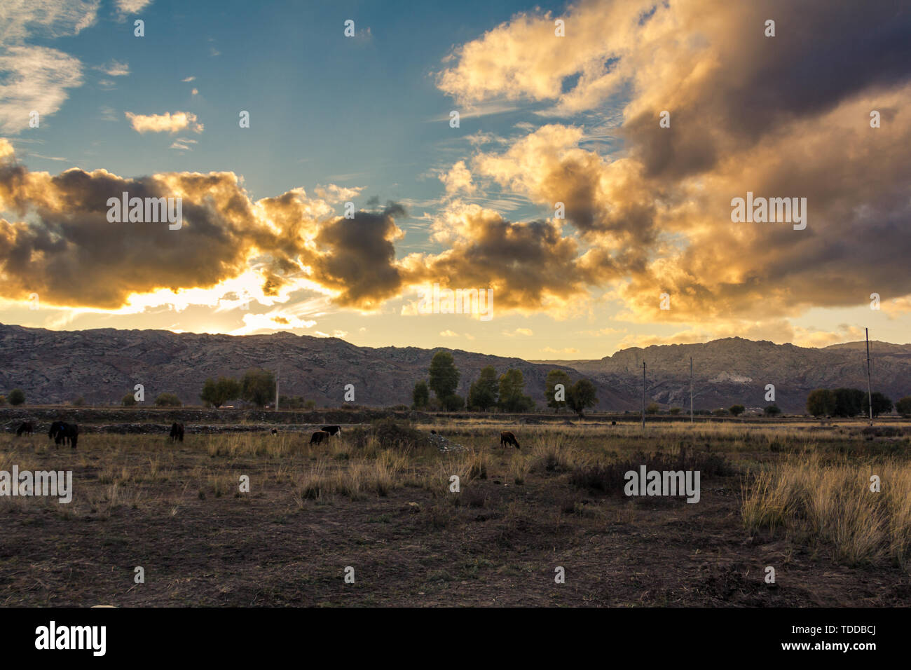 Ruts in pavement hi-res stock photography and images - Alamy