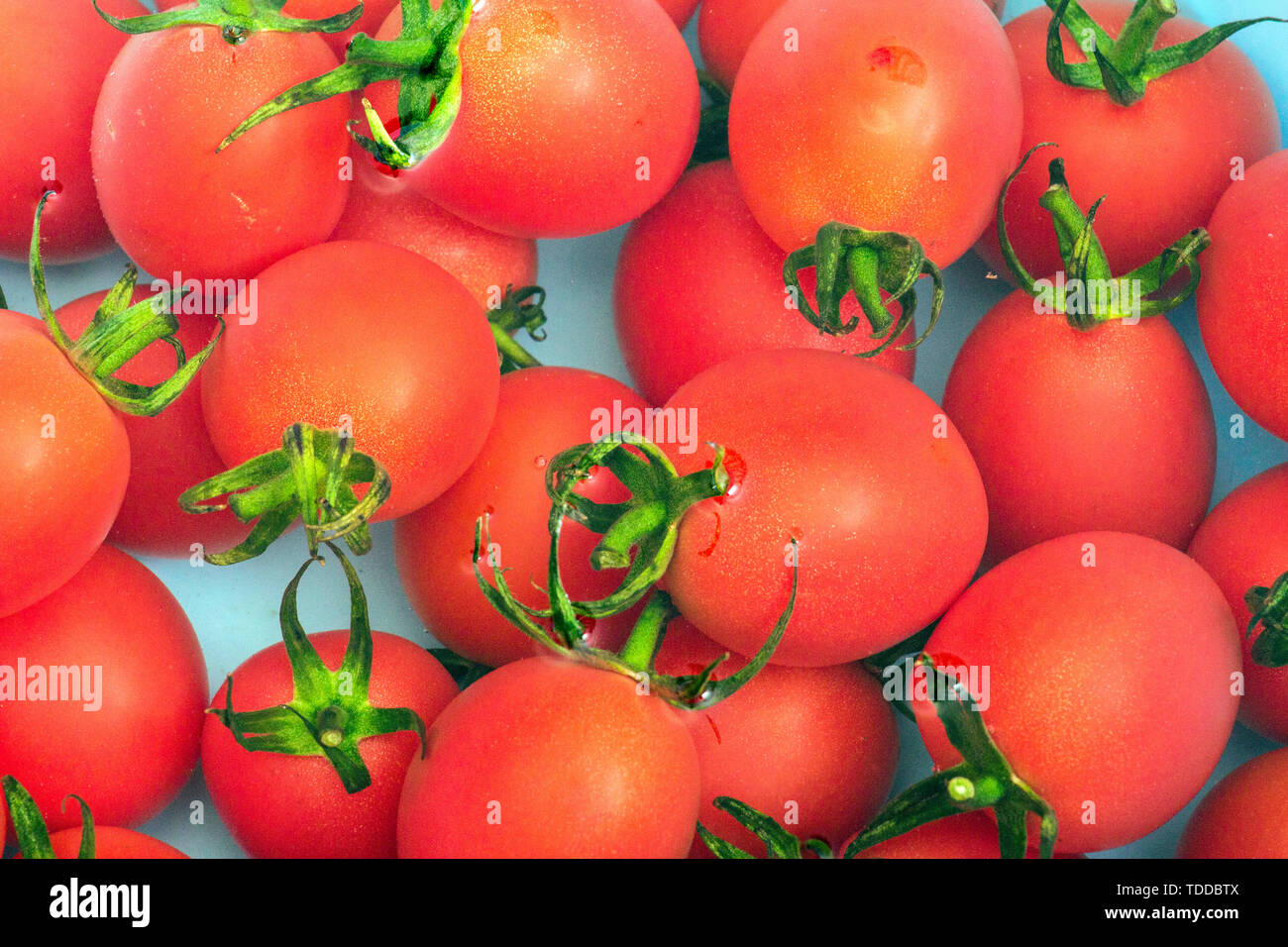 Tomatoes, fruit, tomatoes Stock Photo - Alamy