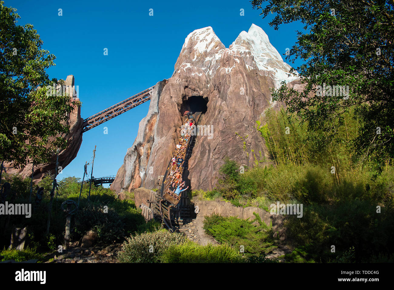 Animal kingdom expedition everest hi-res stock photography and images ...