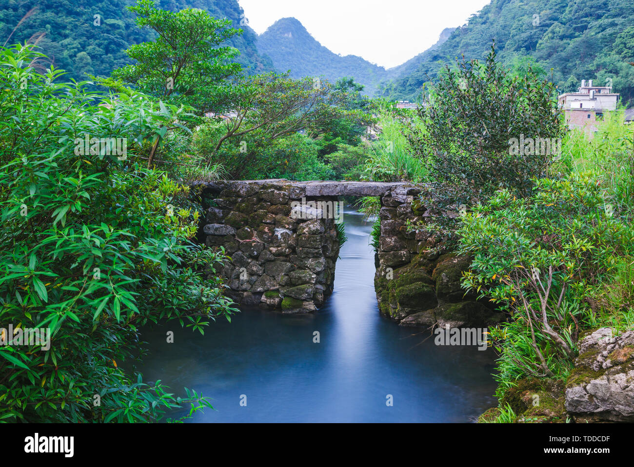Maolan national nature reserve hi-res stock photography and images - Alamy
