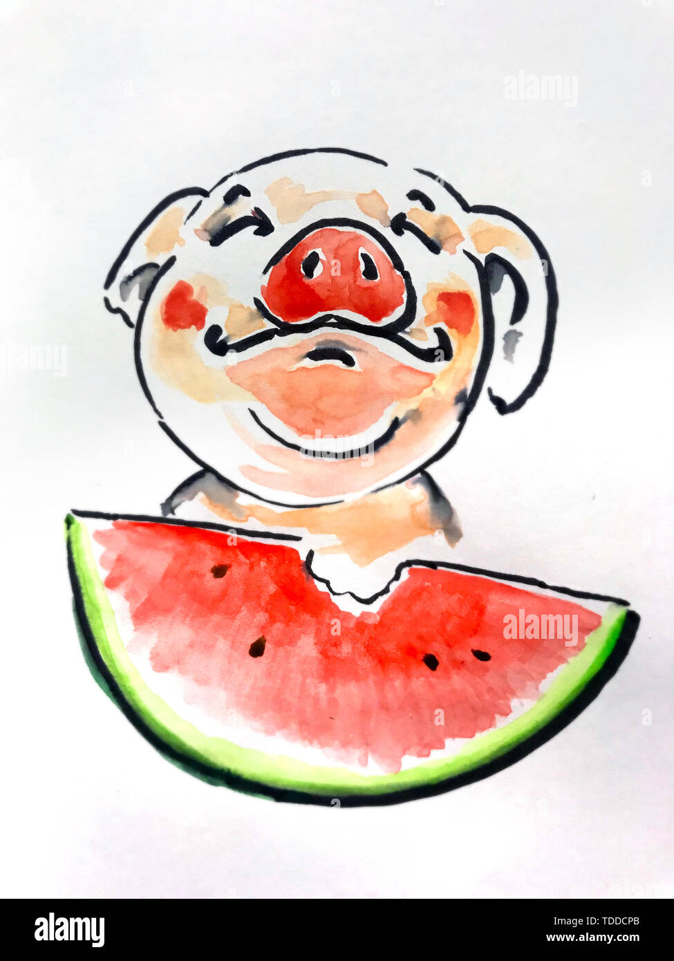 Funny watermelon fruit cartoon illustration hi-res stock photography ...