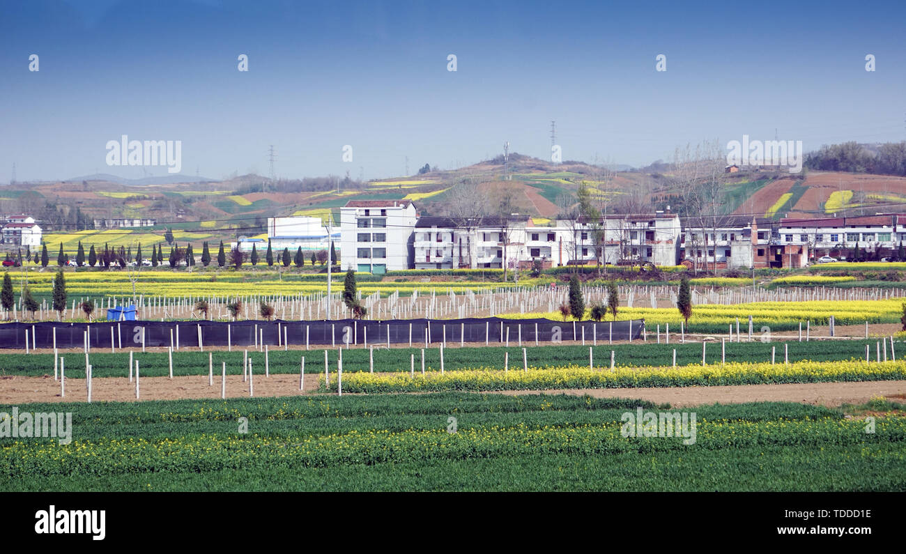 Hanzhong mountain village spring color Stock Photo - Alamy