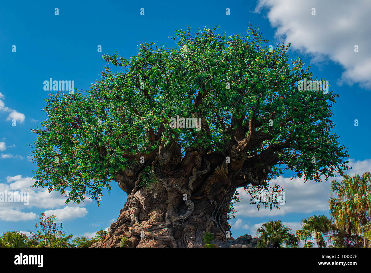 Dinosaur disney florida hi-res stock photography and images - Alamy