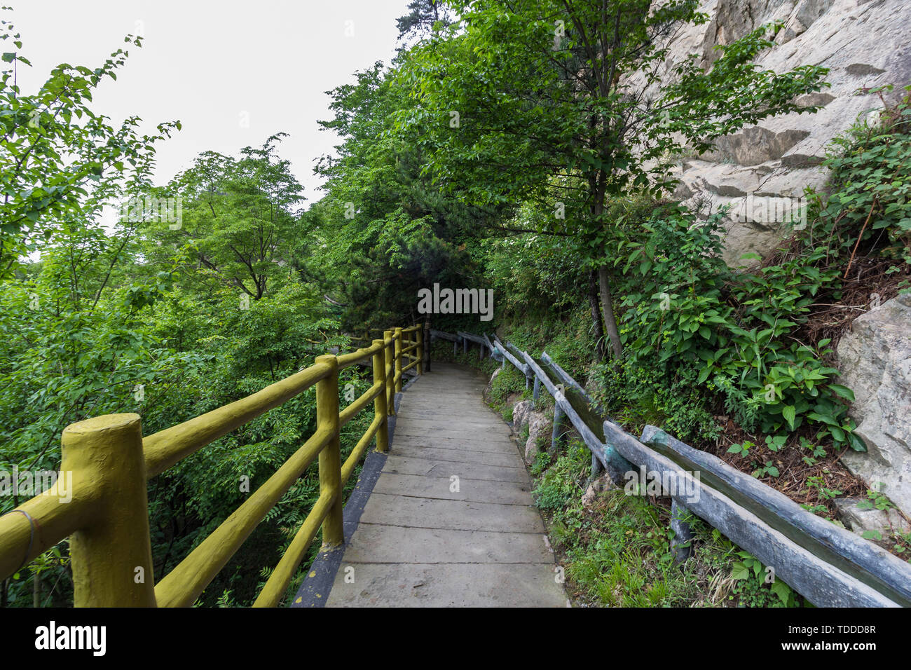 Walking sidewalks hi-res stock photography and images - Alamy