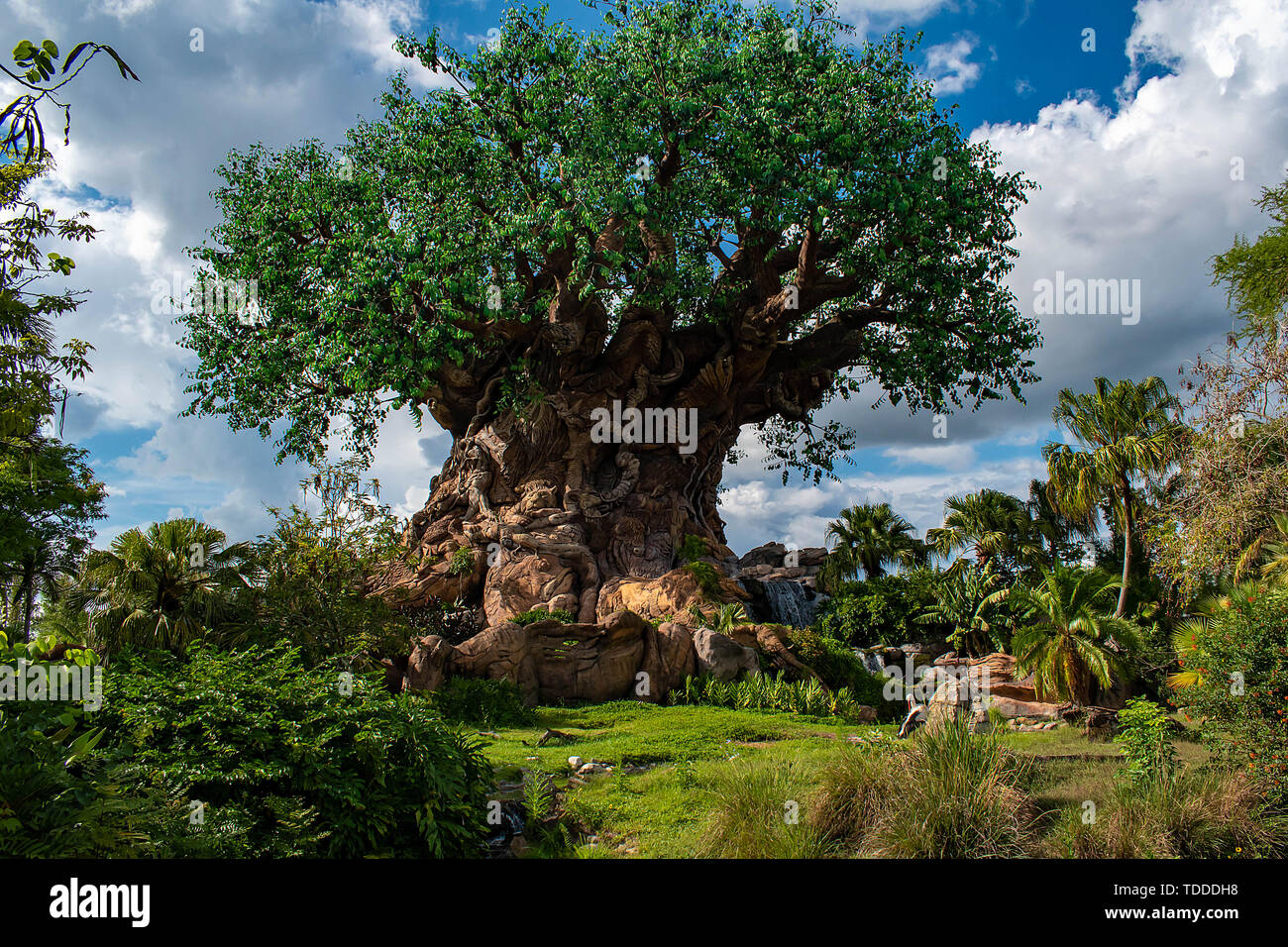 Orlando, Florida. May 03, 2019 .Beautiful view of Tree of Life at ...