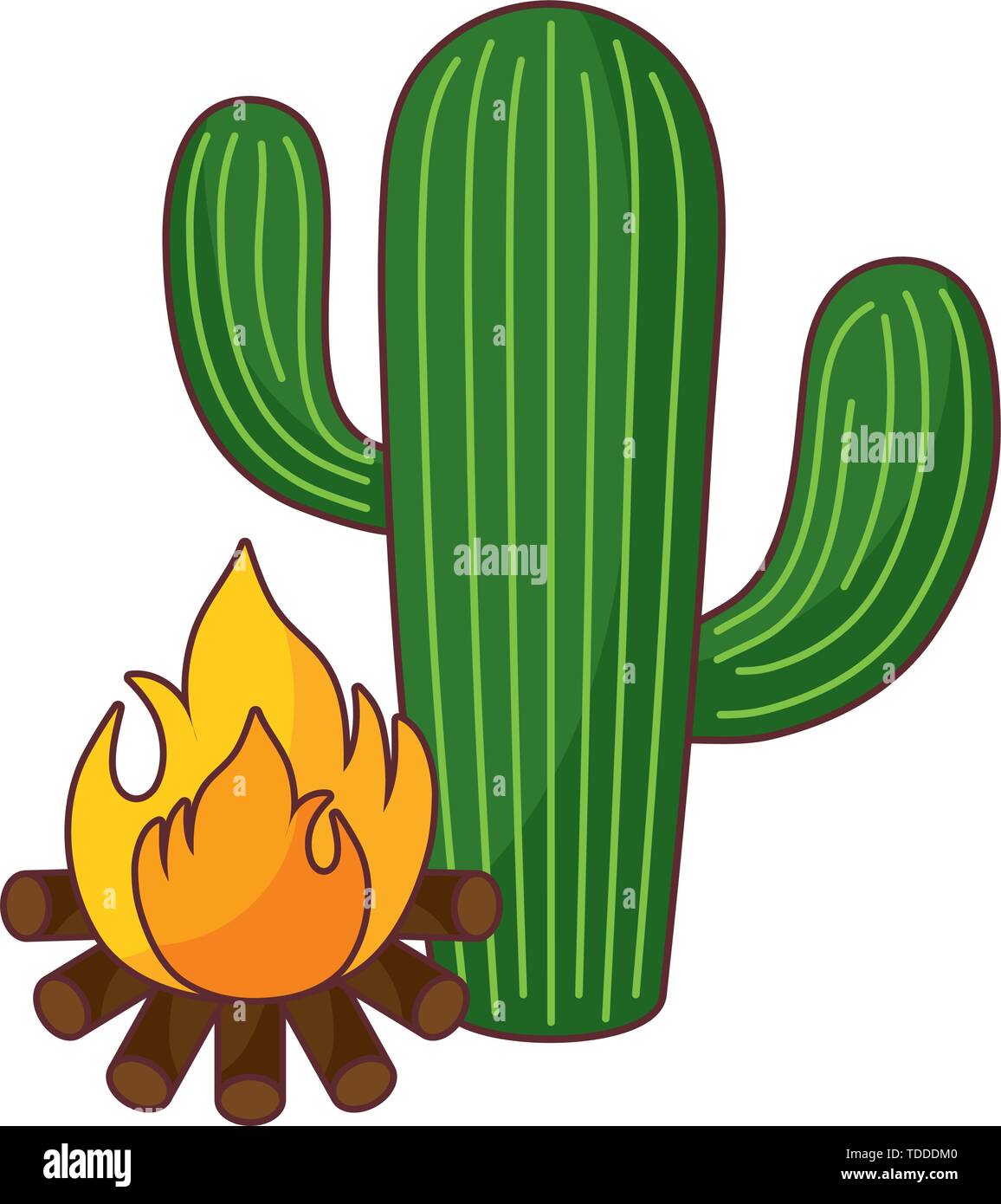 cactus natural with campfire flame vector illustration design Stock ...