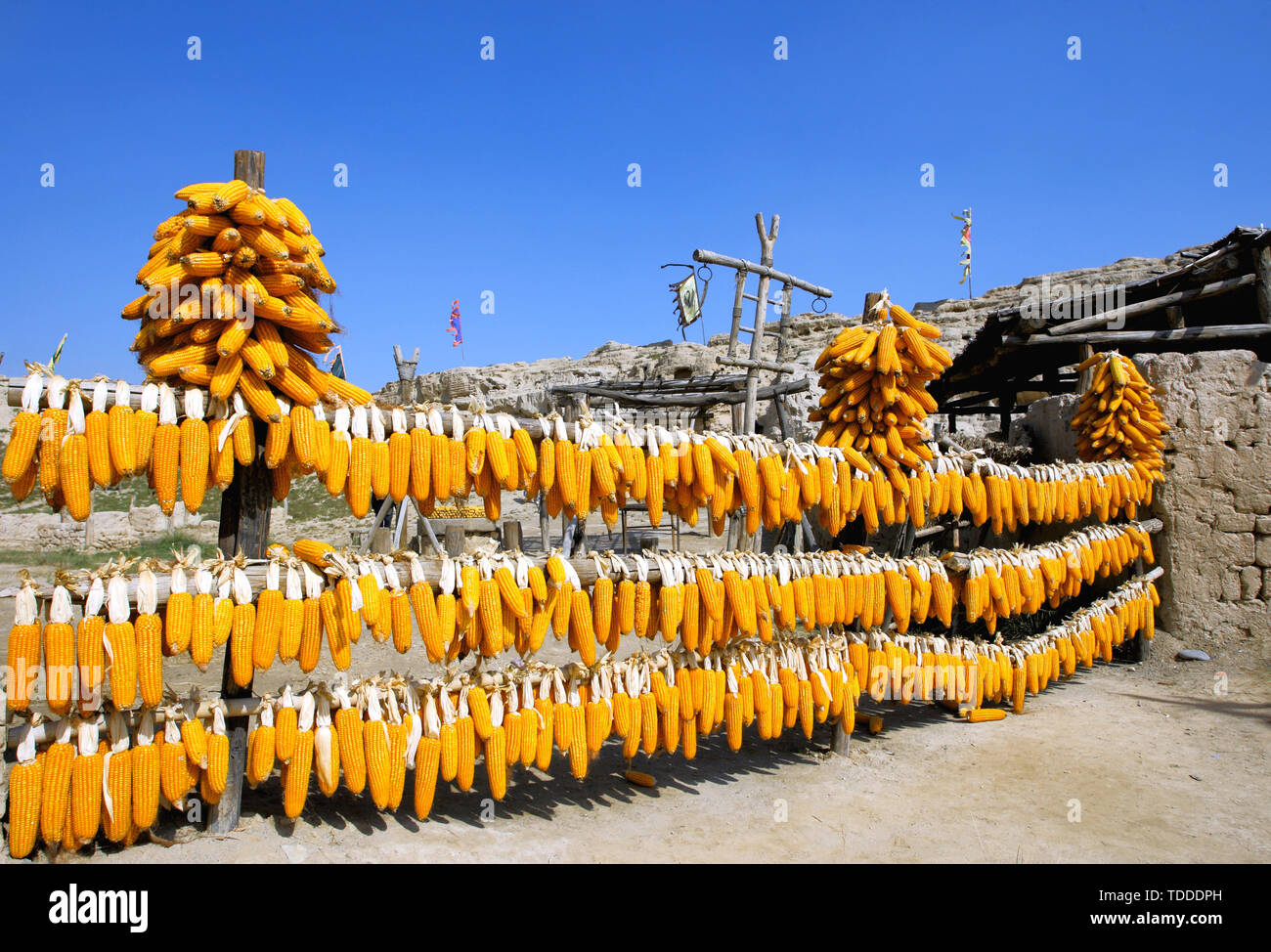 Corn cob buildings hi-res stock photography and images - Alamy