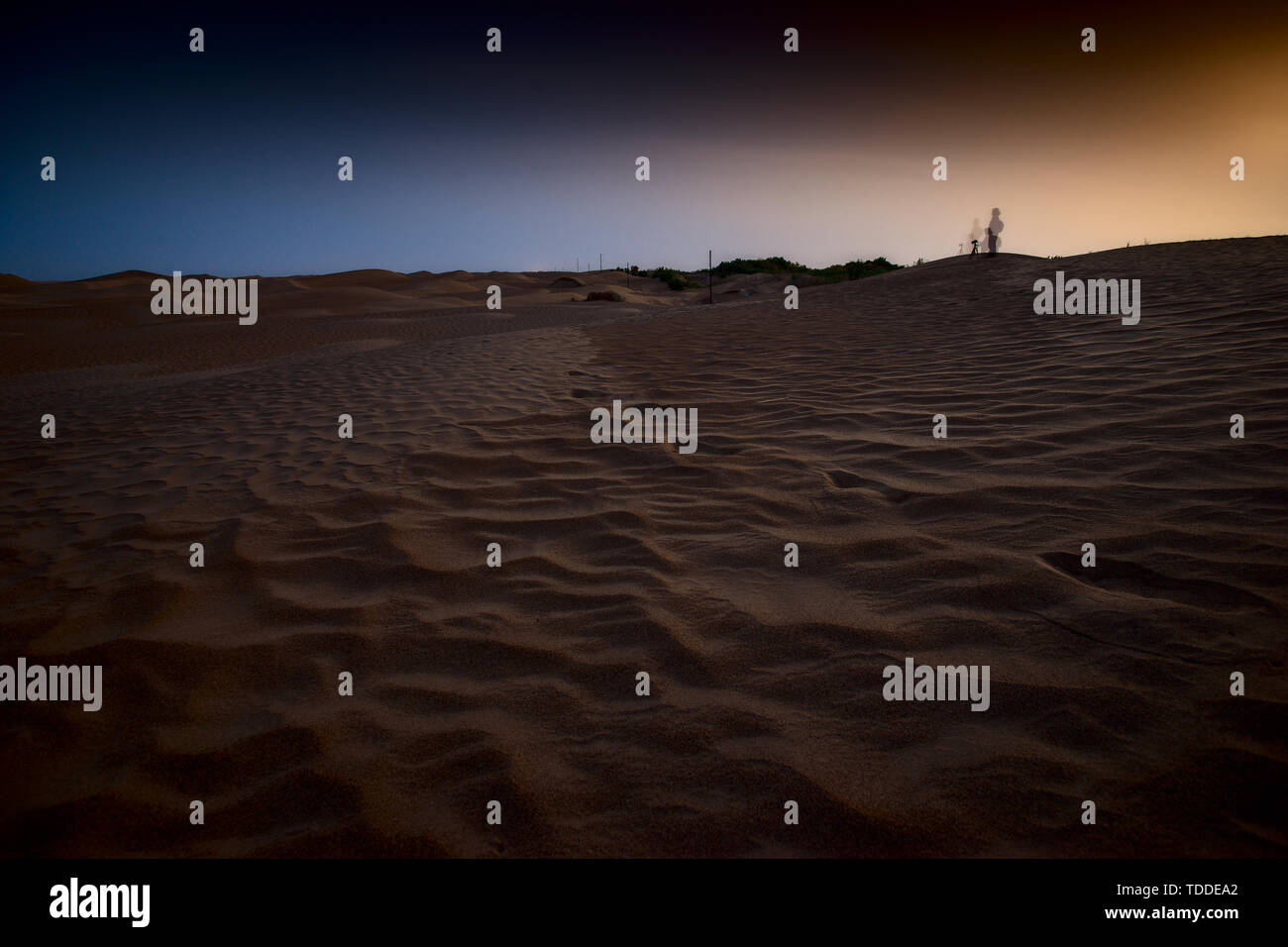 In the Taklimakan Desert Stock Photo - Alamy