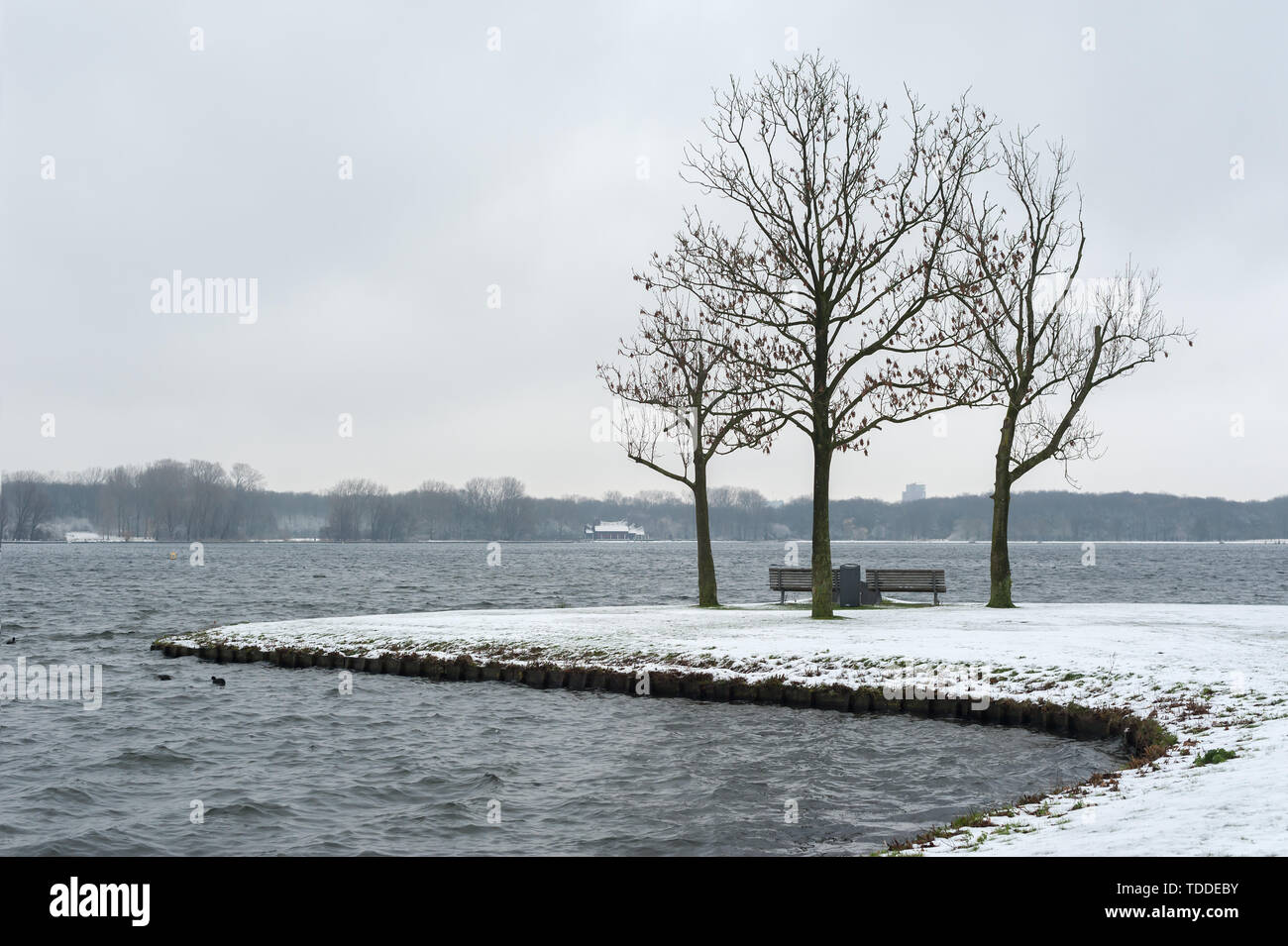 Snow and ice port in Rotterdam, Netherlands, in winter Stock Photo - Alamy