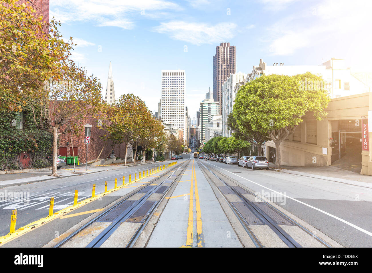 Road and street design guide no one trees trees hi-res stock ...