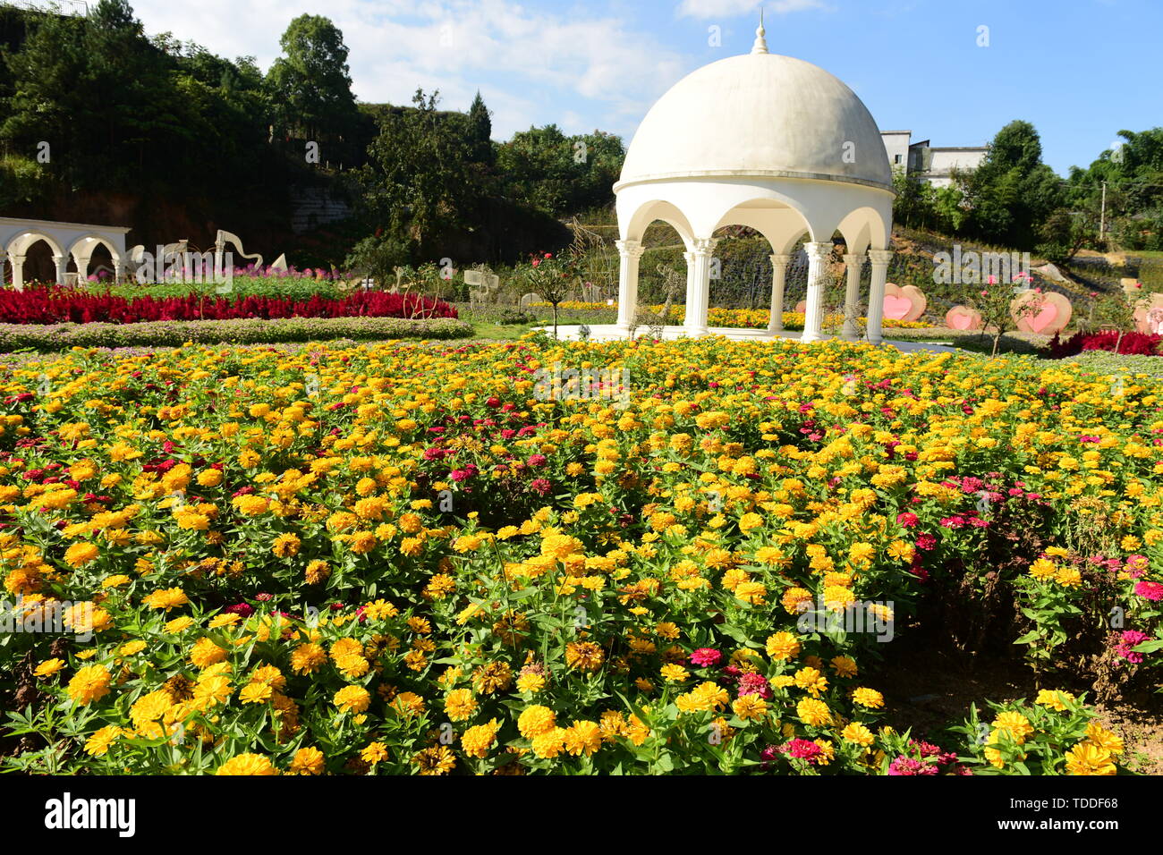 Flower Sea Promenade Stock Photo - Alamy