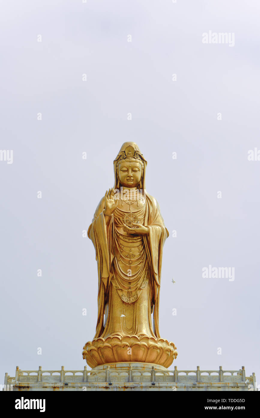 Putuo mountain hi-res stock photography and images - Alamy