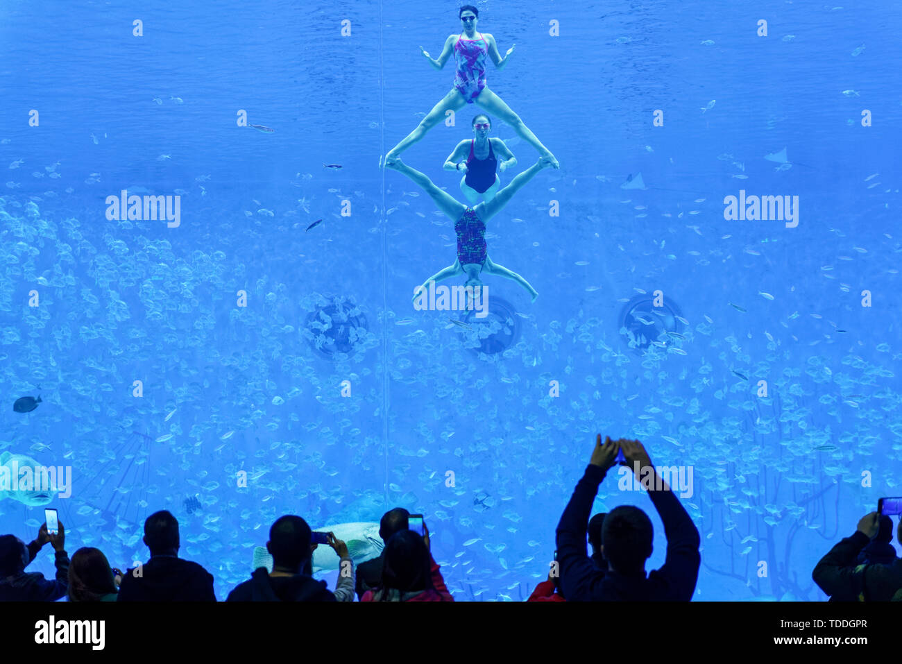 Mermaid performance at Haichang Ocean Park, Shanghai Stock Photo - Alamy