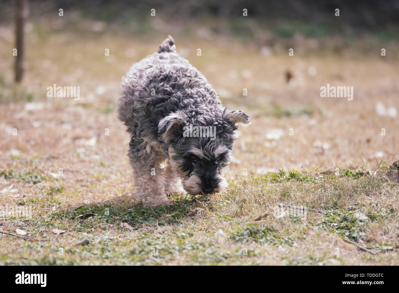 Chenery hi-res stock photography and images - Alamy