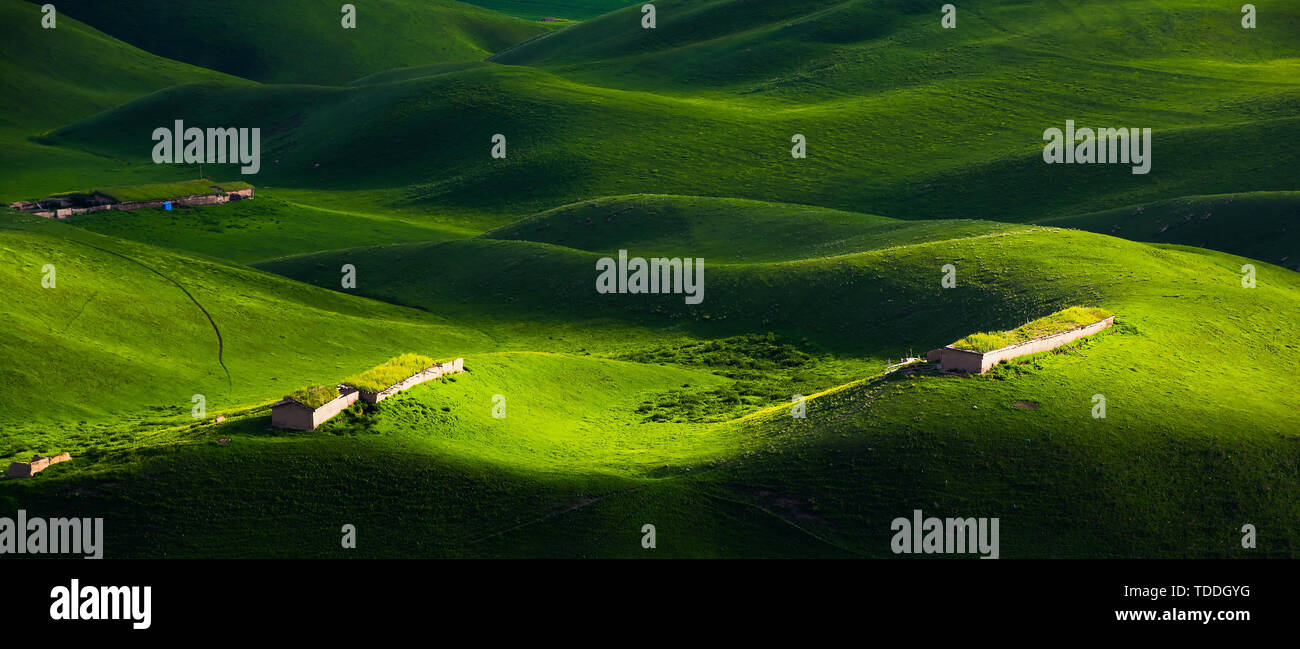 Body curve hi-res stock photography and images - Alamy