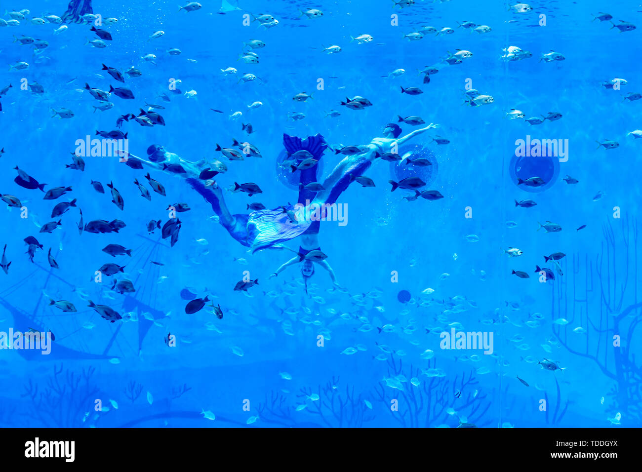 Mermaid performance at Haichang Ocean Park, Shanghai Stock Photo - Alamy