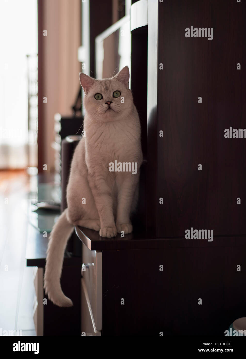 Silver gradient hi-res stock photography and images - Alamy