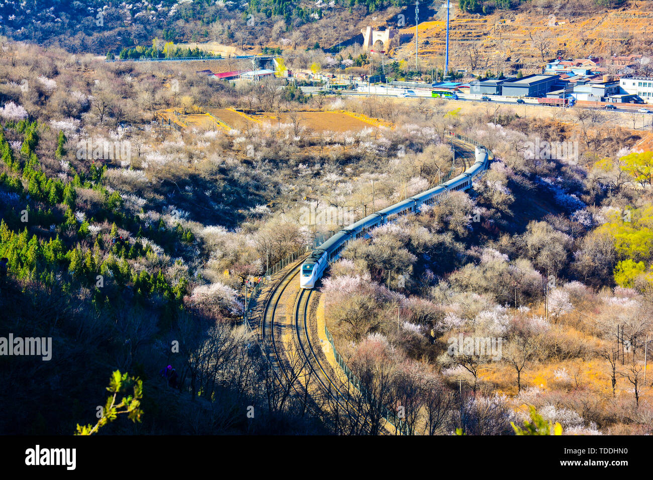 Beijing Line S2, train for spring Stock Photo - Alamy