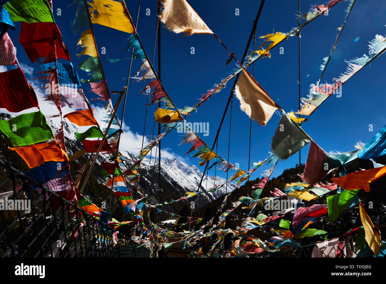 Partridge mountain hi-res stock photography and images - Alamy