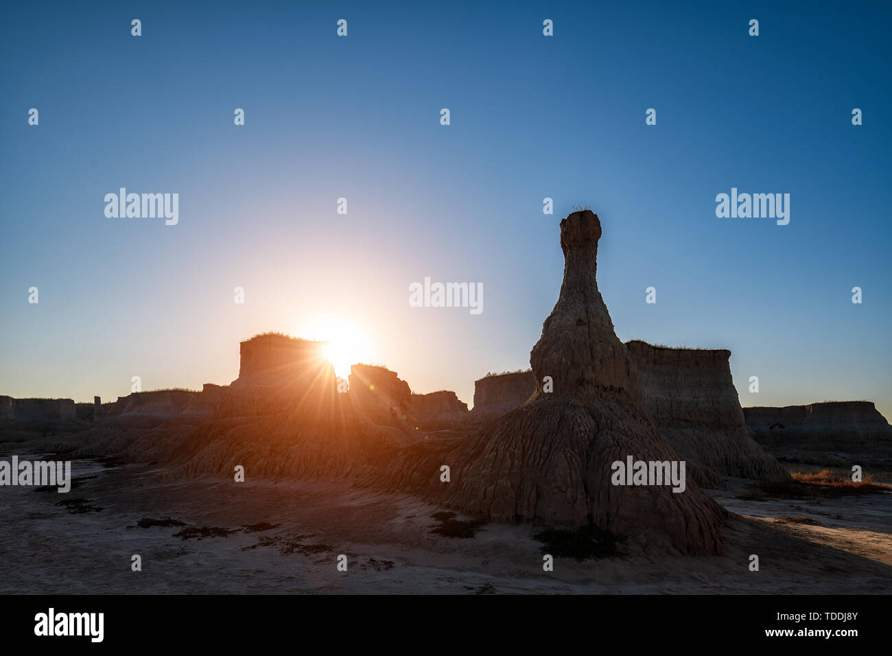 High-definition map of earth forest scenery Stock Photo - Alamy