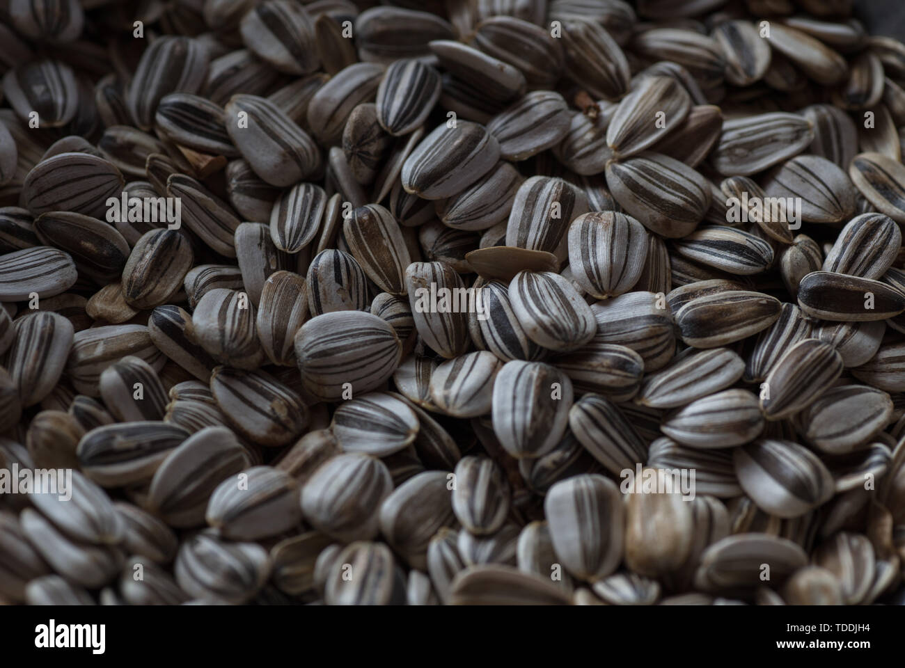 Sunflower seed material Stock Photo - Alamy