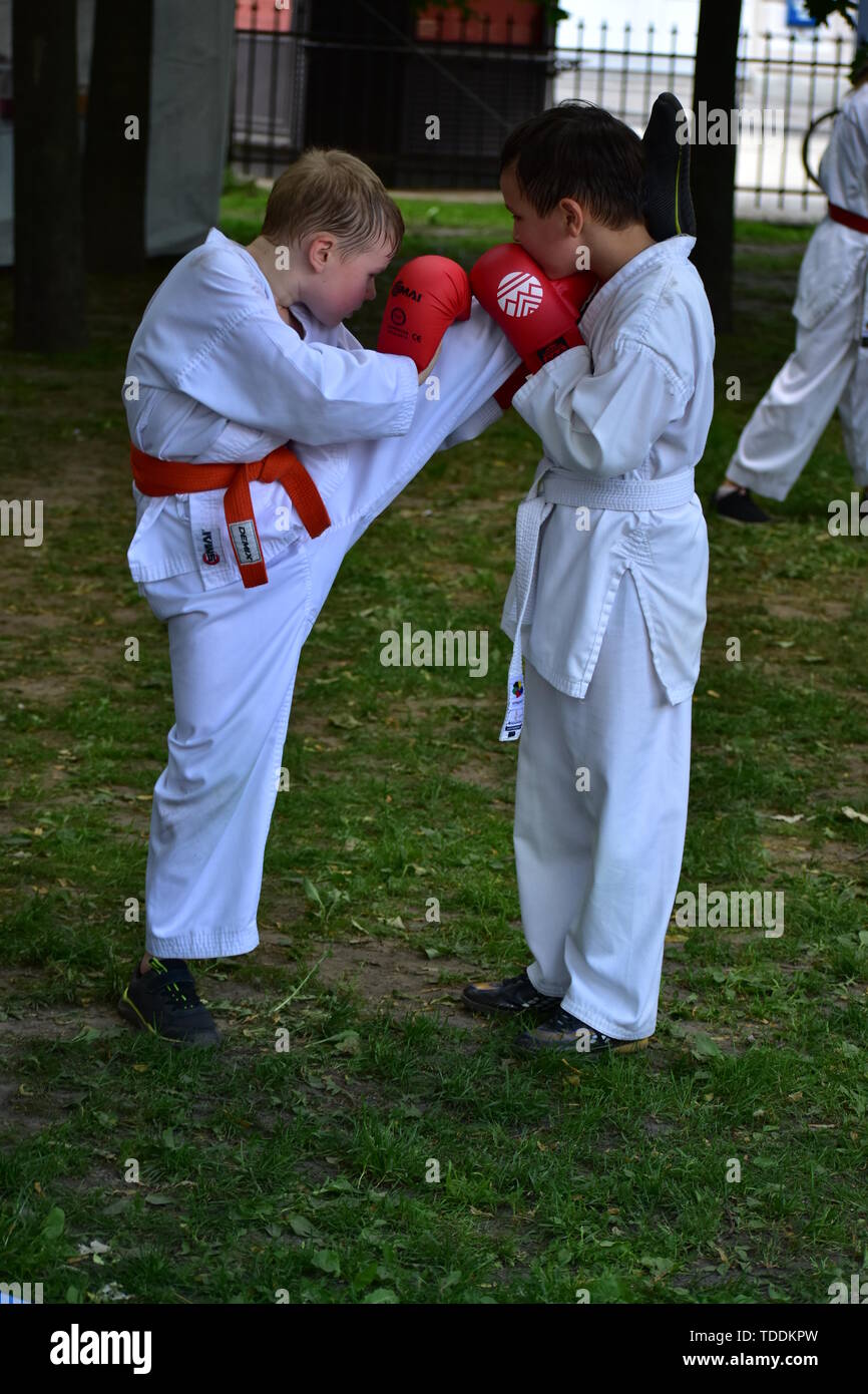 Karate Master High Resolution Stock Photography and Images - Alamy
