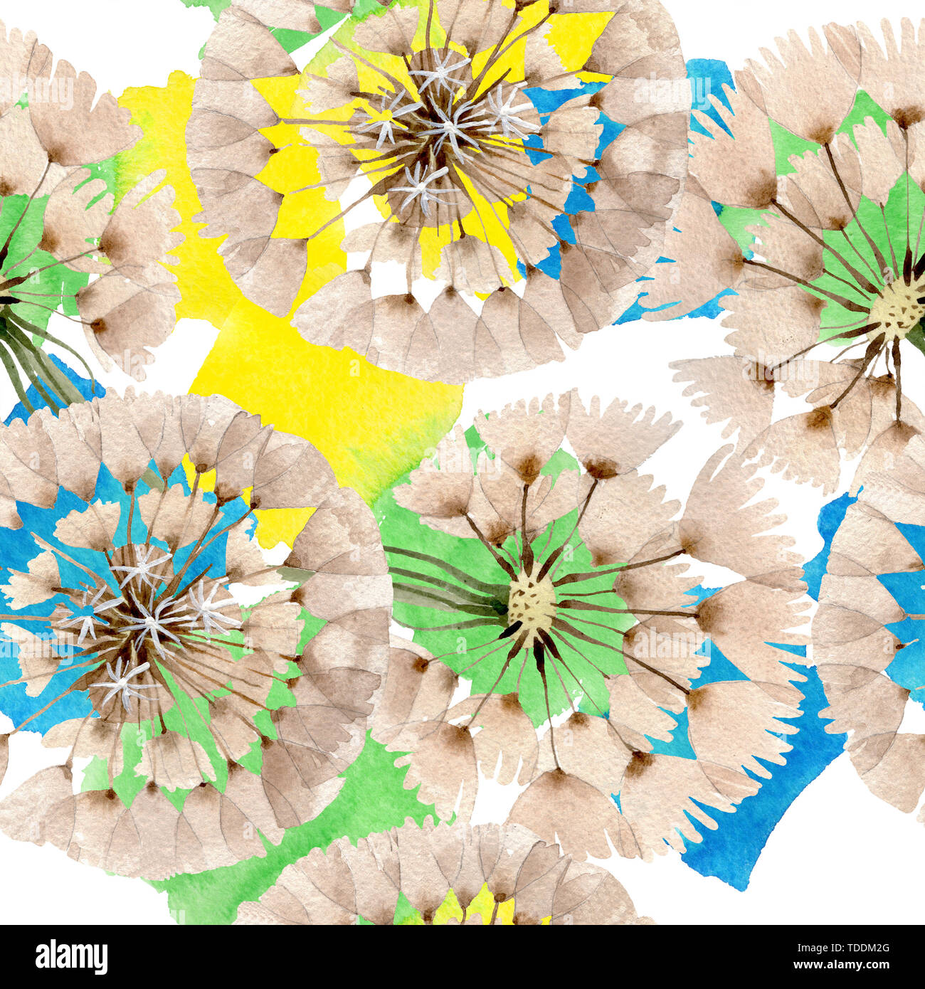 Dandelion blowball with seeds. Watercolor background illustration set ...