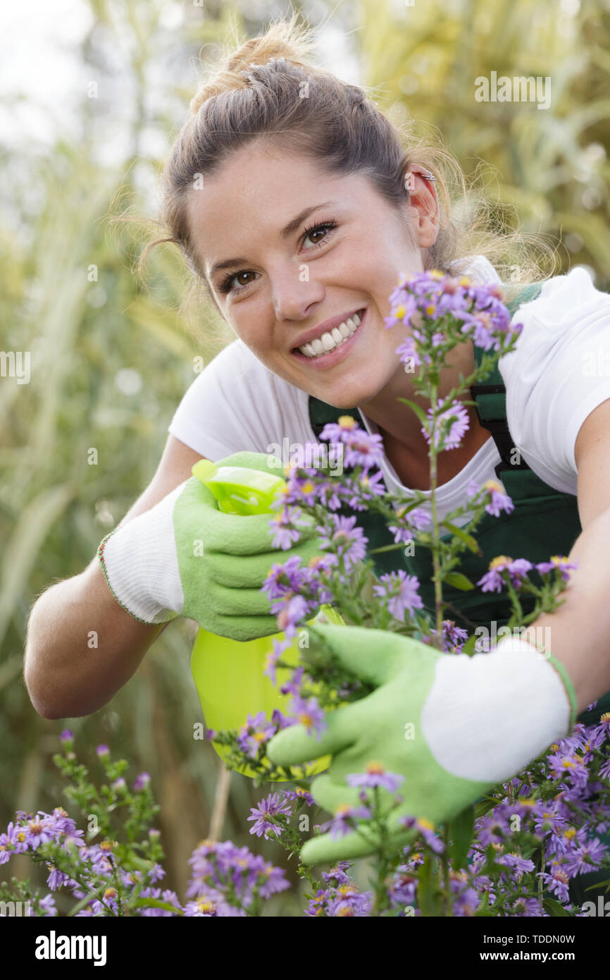 woman spraying flowers in garden Stock Photo - Alamy