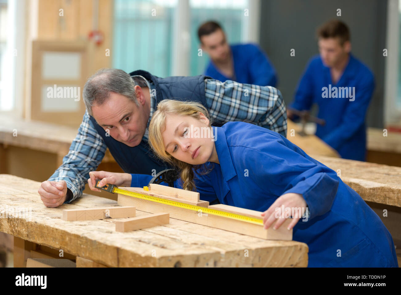 female young woodworking apprentice measuring board Stock Photo - Alamy