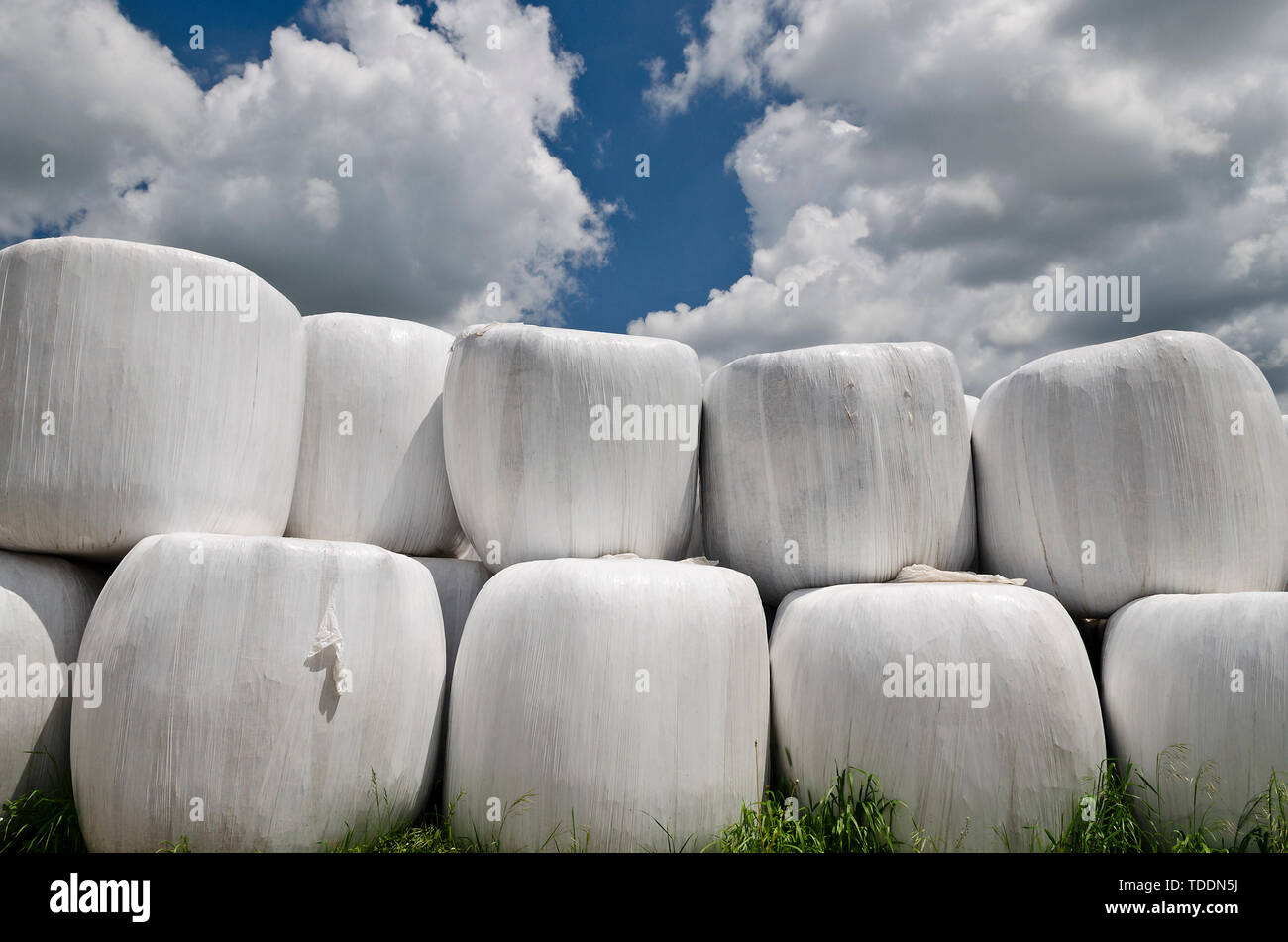 Wrapped bale hi-res stock photography and images - Alamy
