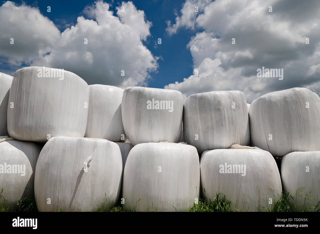 Wrapped bale hi-res stock photography and images - Alamy