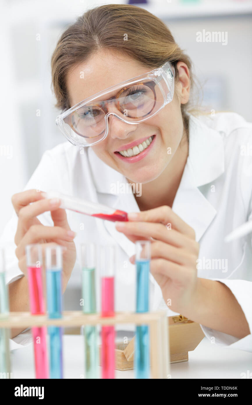 Happy lab hi-res stock photography and images - Alamy