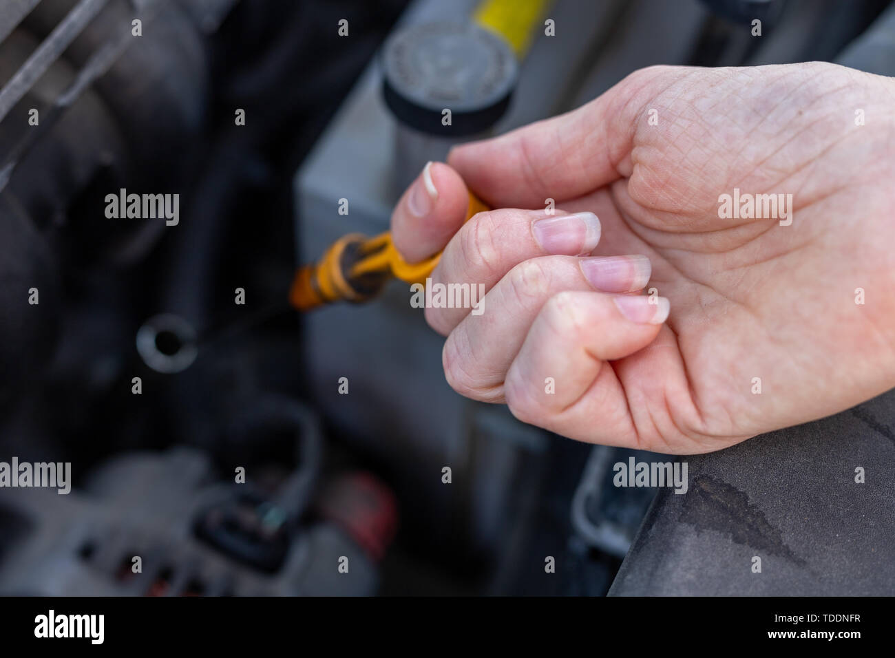 Car dipstick for oil level measurements. Checking the parameters of the ...