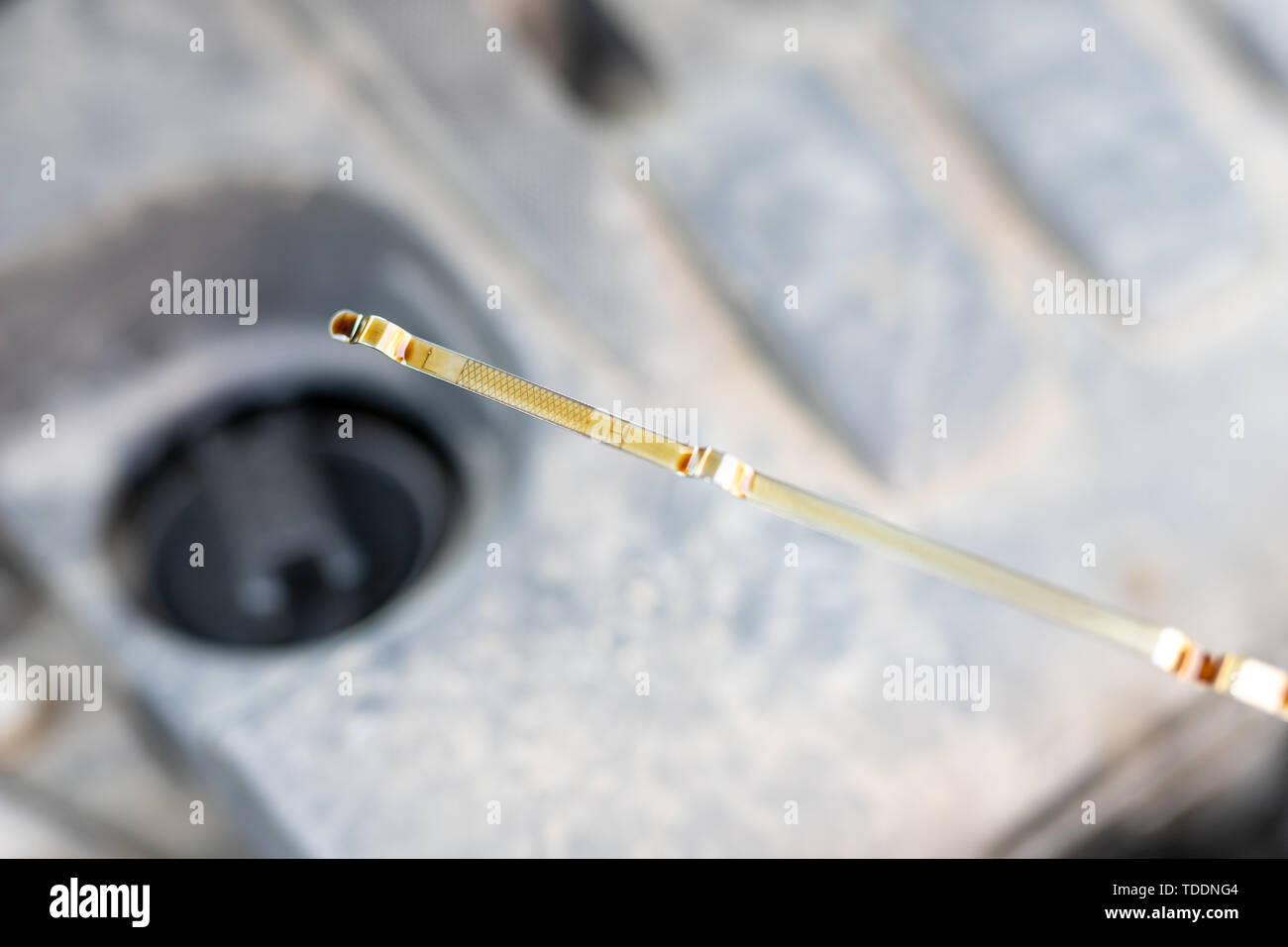 Car dipstick for oil level measurements. Checking the parameters of the ...