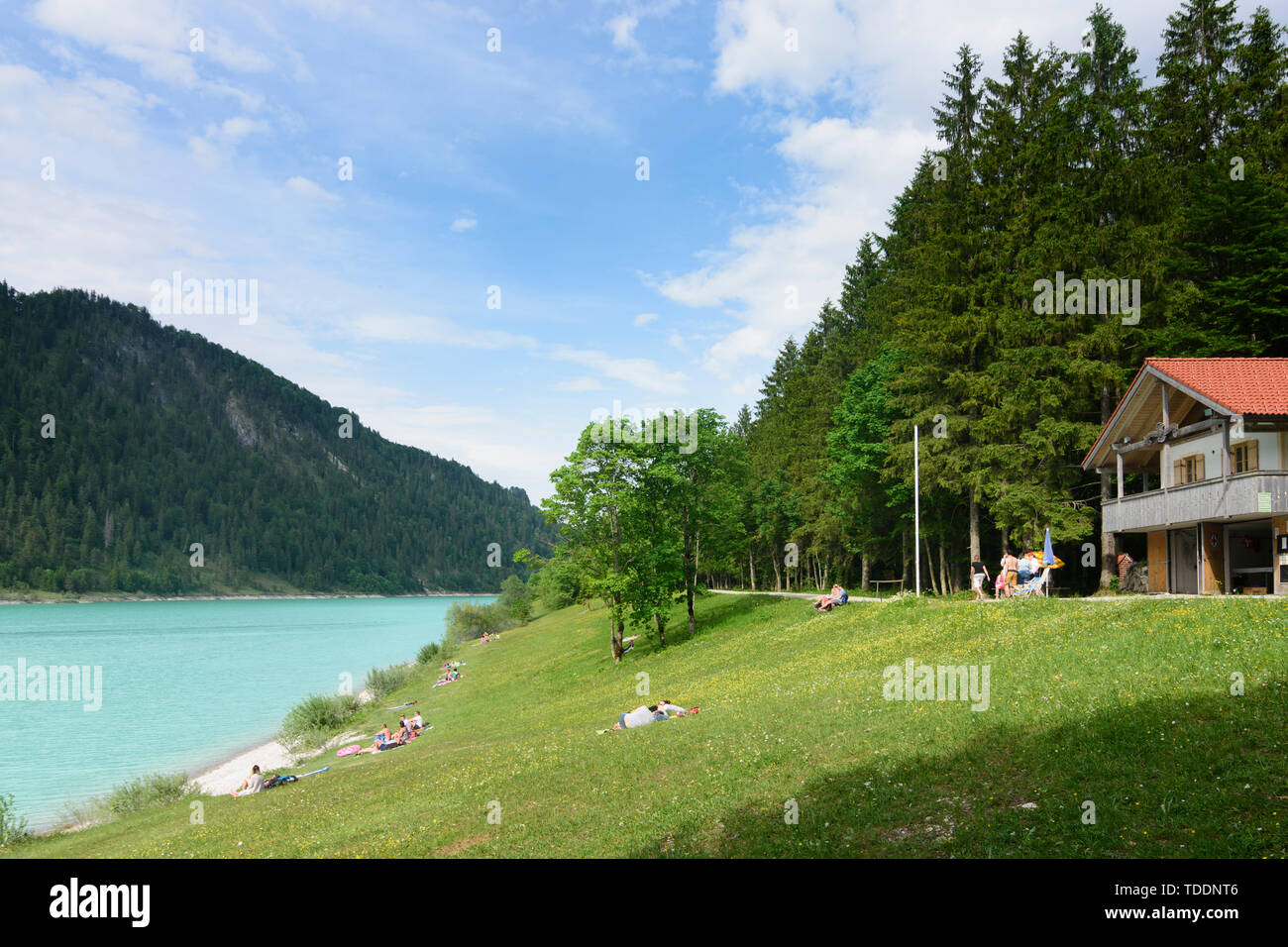 Lenggries: reservoir Sylvensteinspeicher (Sylvenstein Dam) of river ...