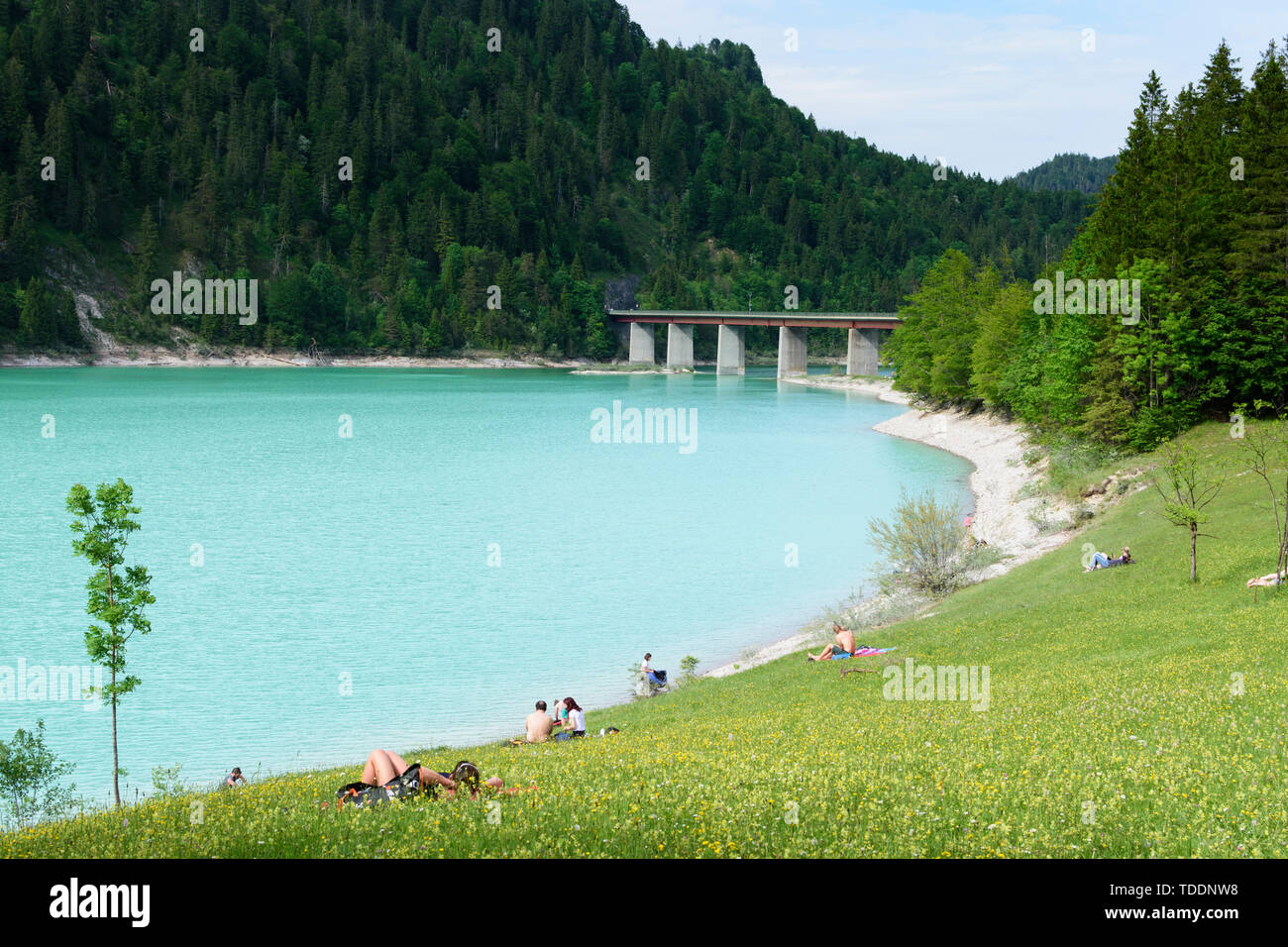 Lenggries: reservoir Sylvensteinspeicher (Sylvenstein Dam) of river ...