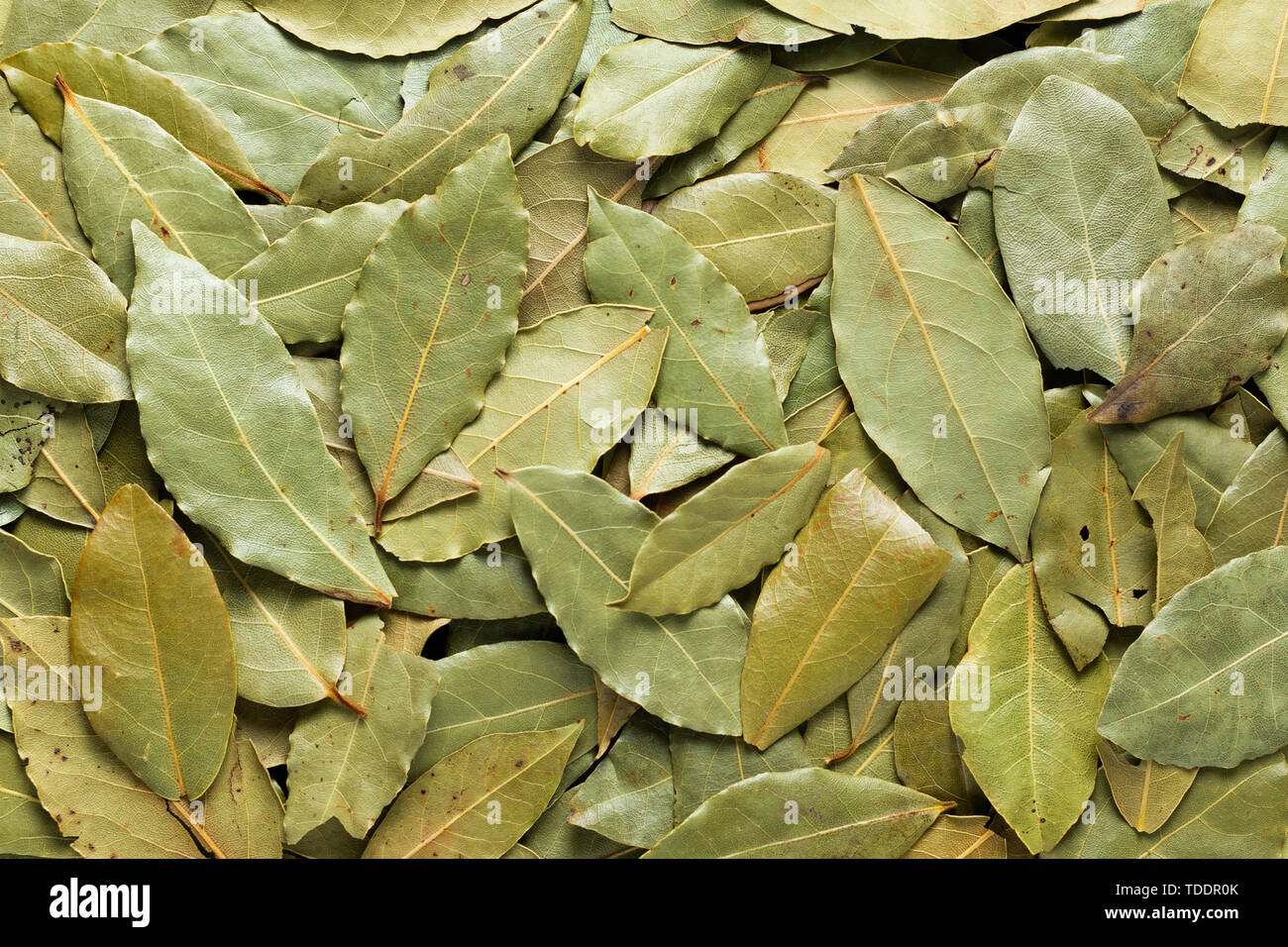 Food Green background concept organic shade of dried bay leaf texture ...