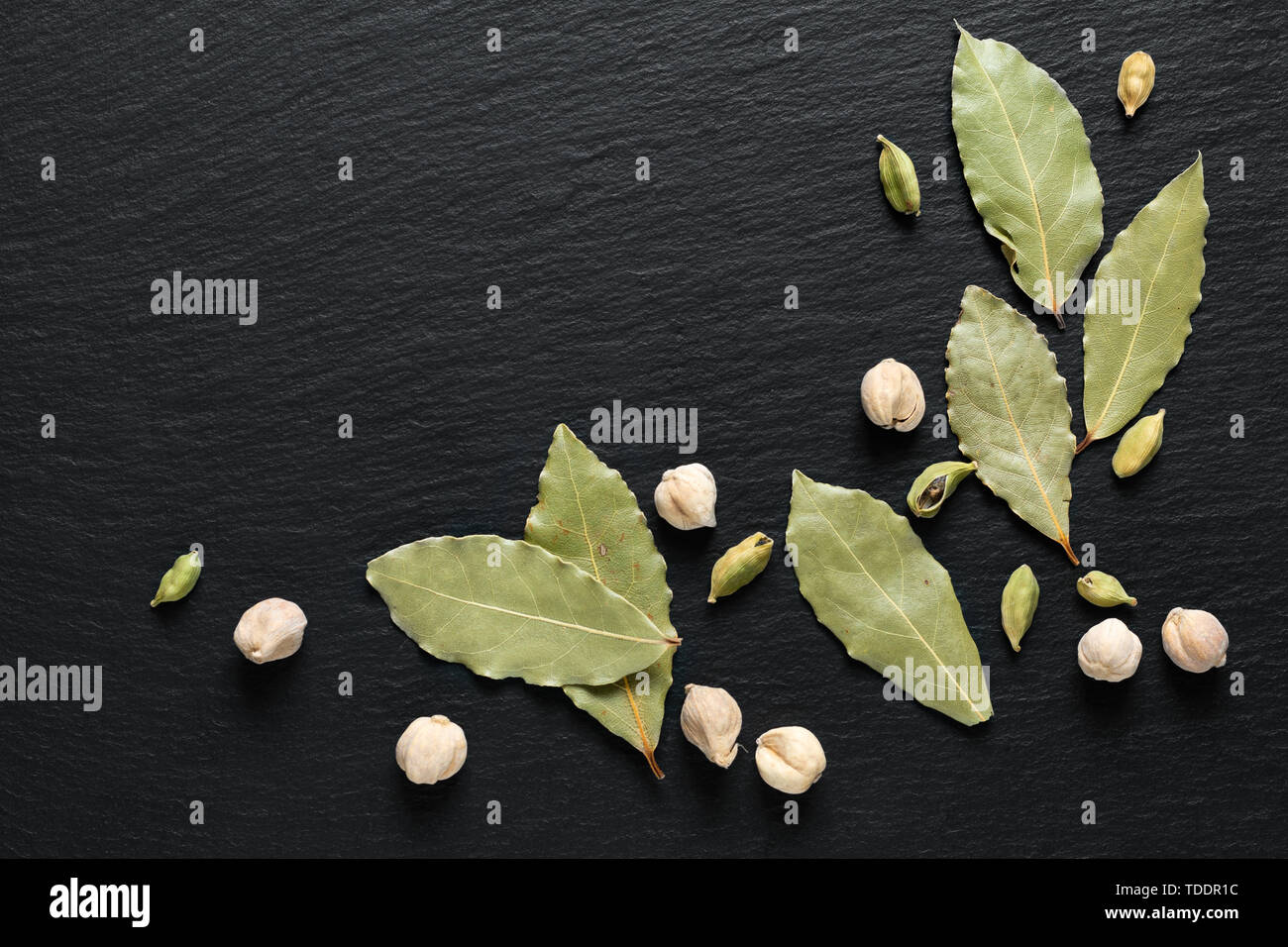 Cardamom leaf plant hi-res stock photography and images - Alamy