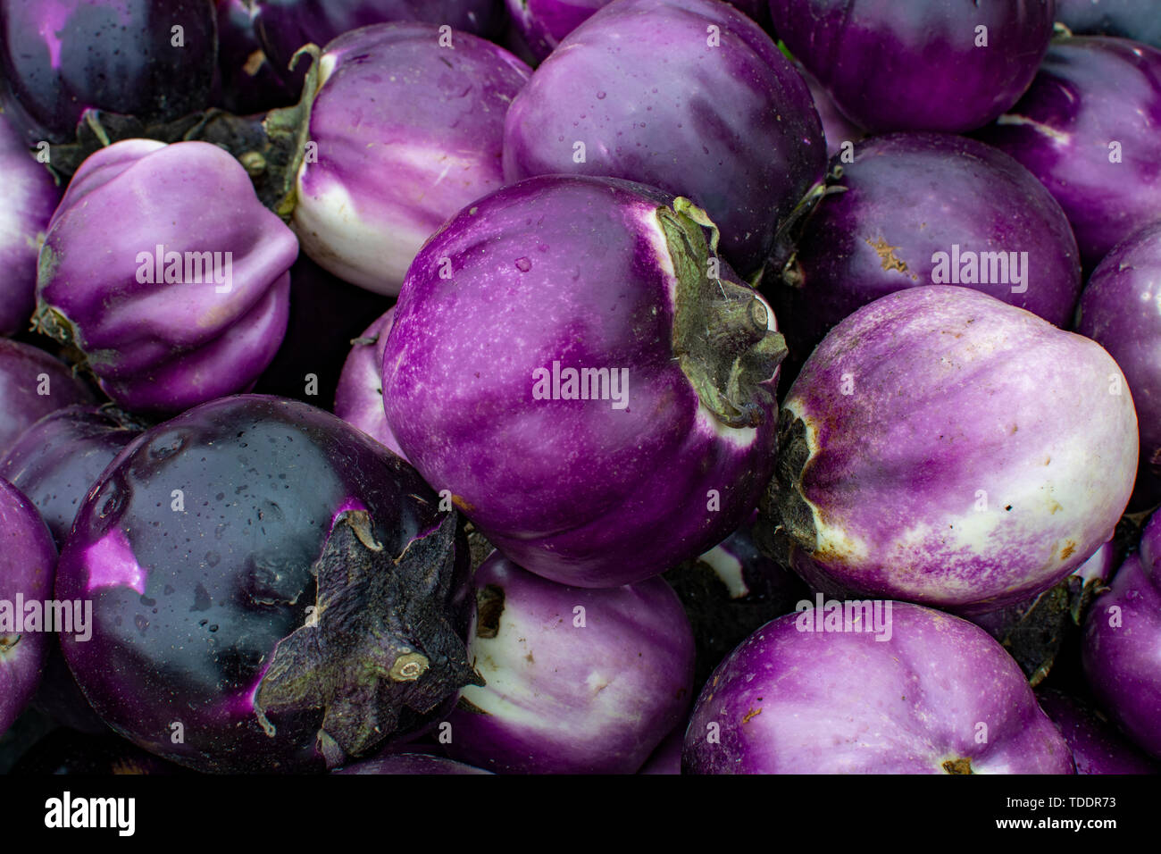 New harvest of tasty Sicilian round Viola eggplants vegetables on ...