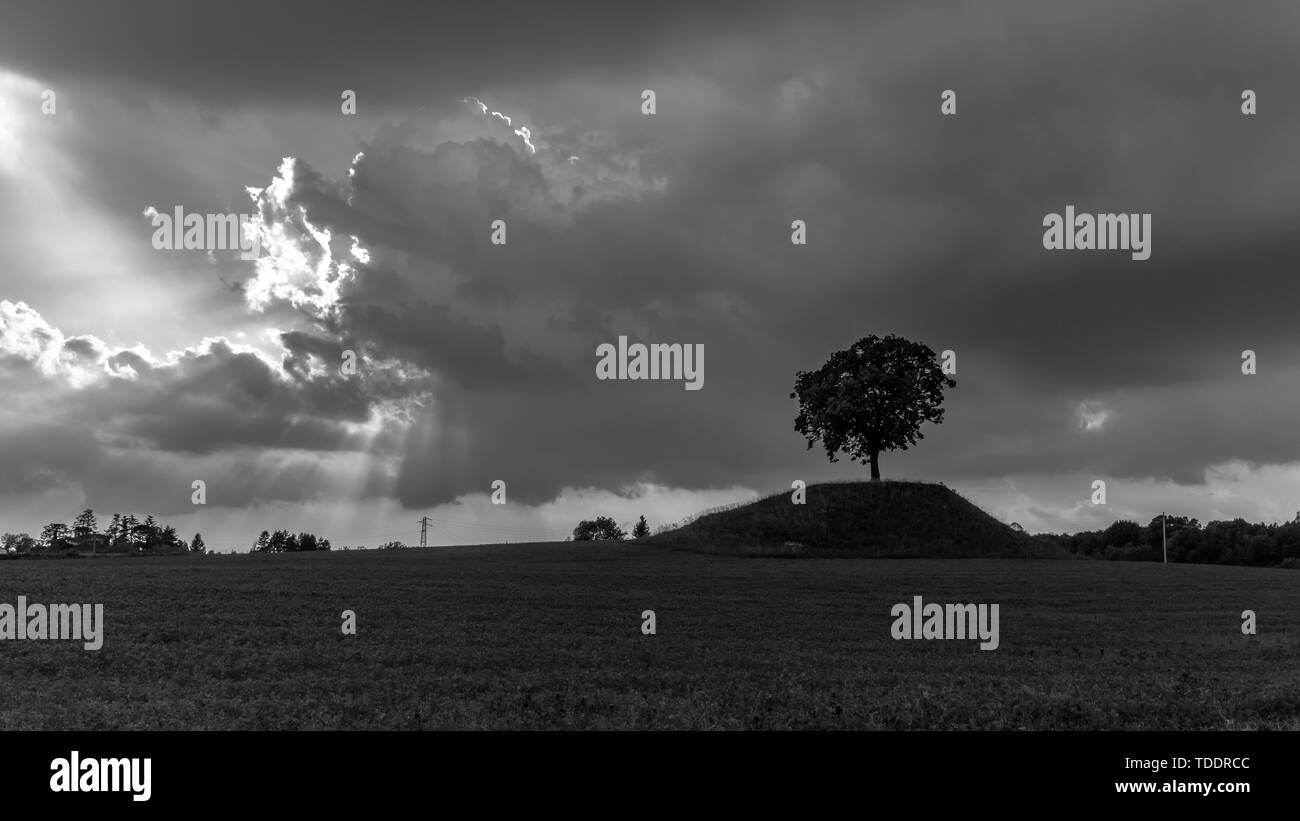 Day scene venezia Black and White Stock Photos & Images - Alamy