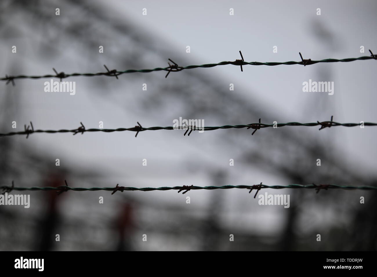 German refugee jew hi-res stock photography and images - Alamy