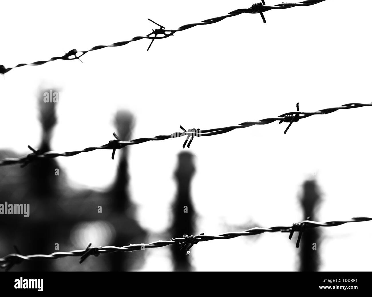 three barbed wires and blurred objects in black and white toned effect ...