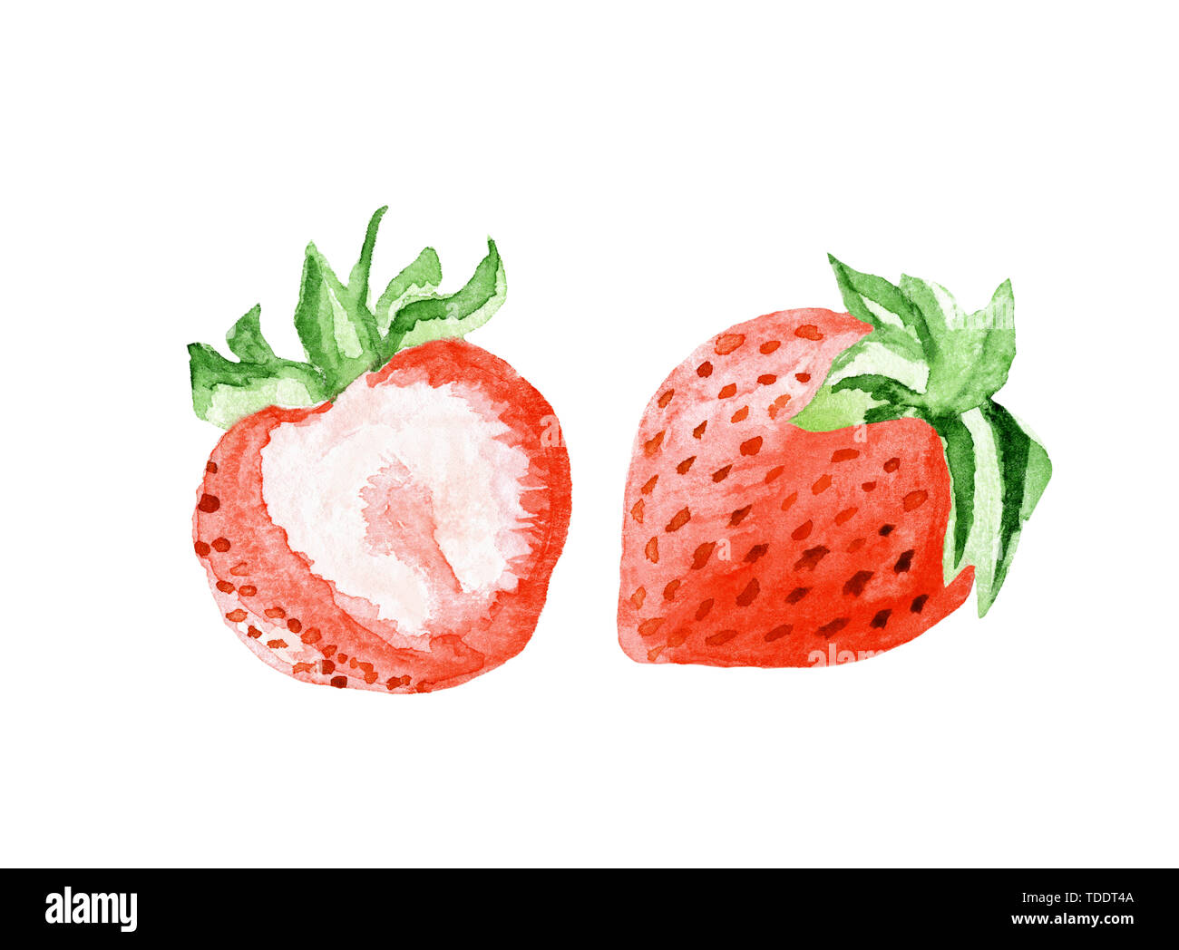Strawberry drawing hand painted hi-res stock photography and images - Alamy