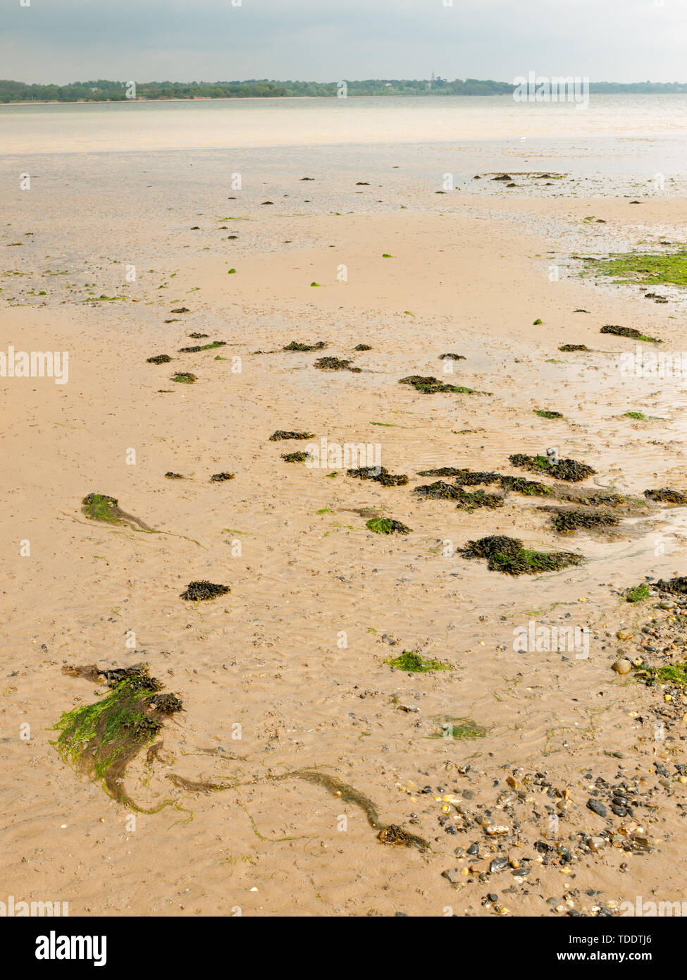 Beautiful harbour landscape scene outside summer bar coast; england ...