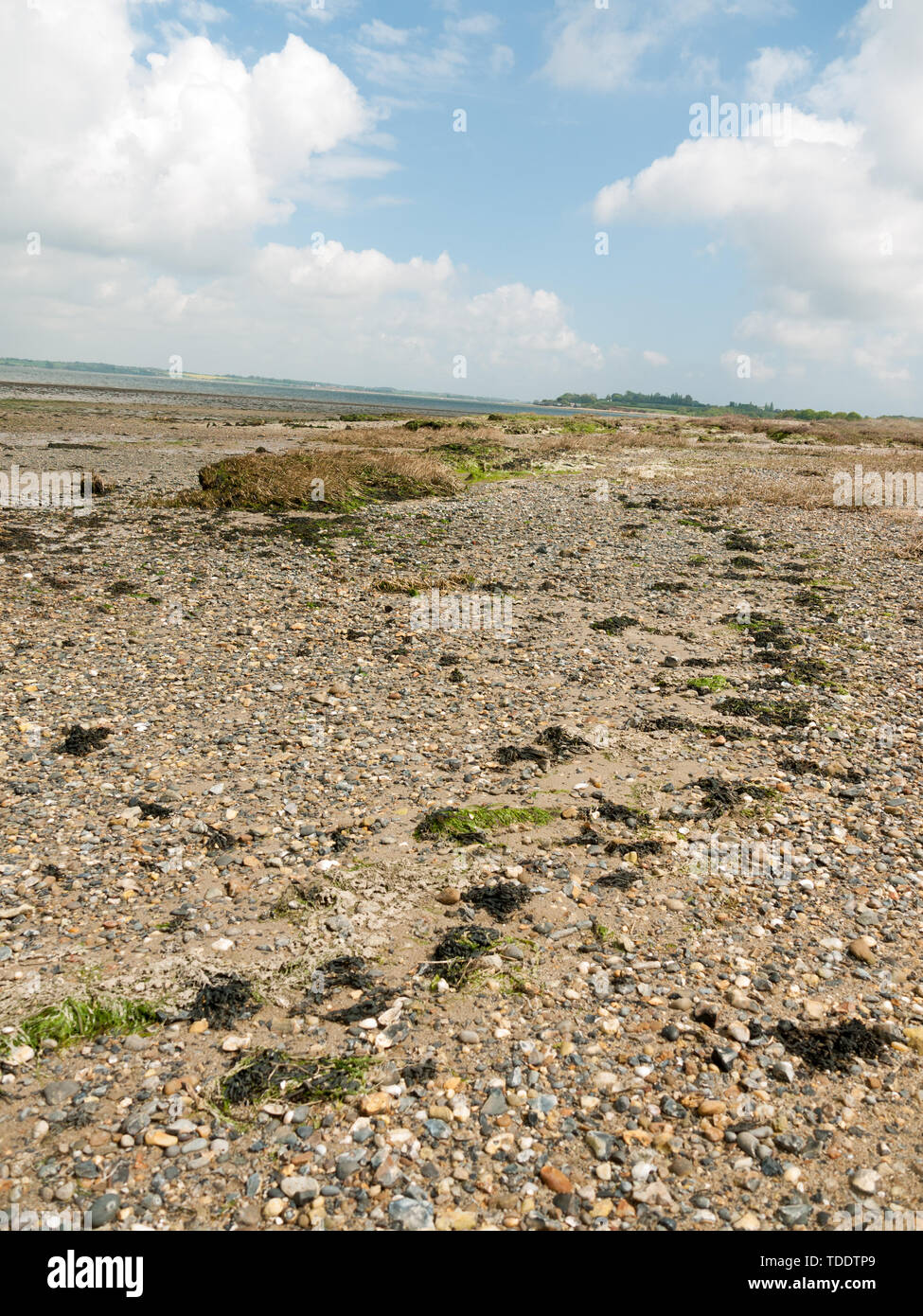 Beautiful harbour landscape scene outside summer bar coast; england ...