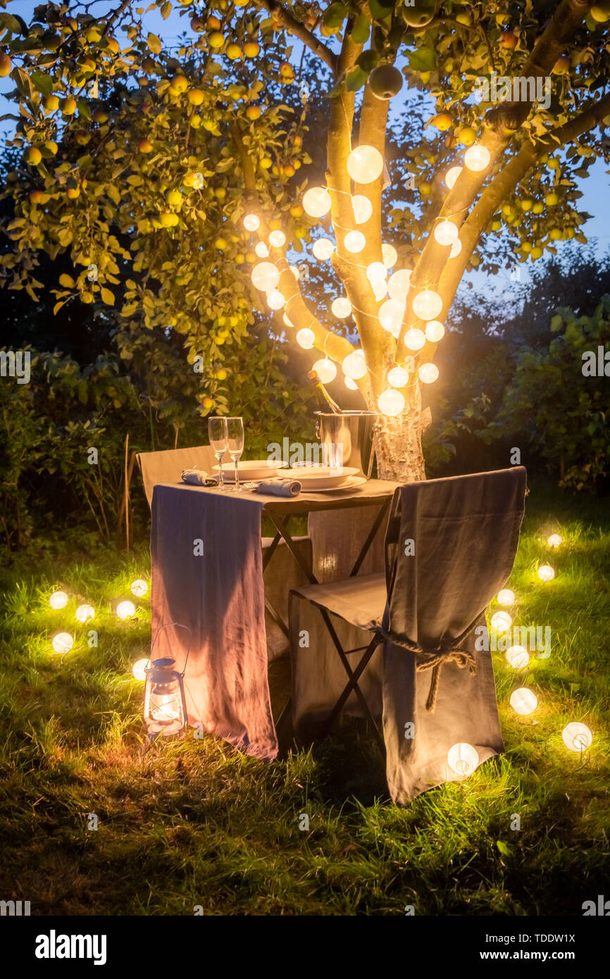 Romantic Garden At Night