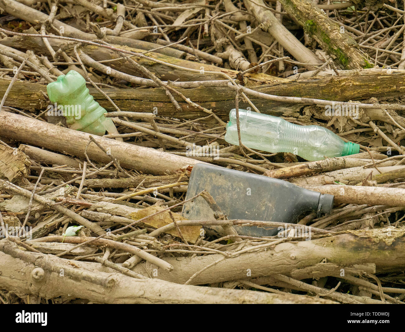 Plastic bottles, flood debris. Des Plaines River Flood Plain. Thatcher ...