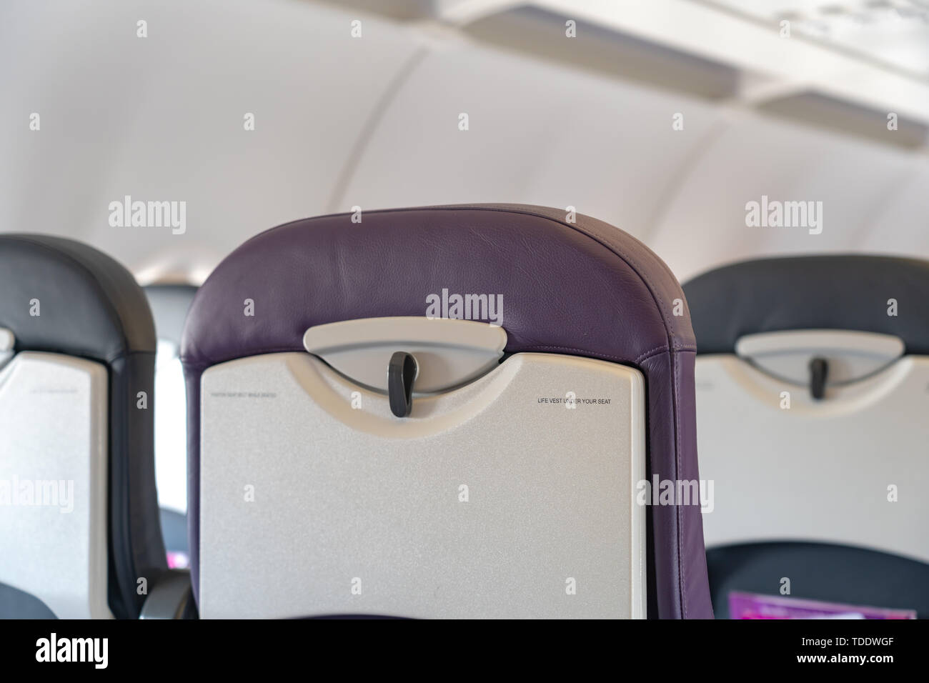 Airplane seats in the cabin economy class and the windows of the ...
